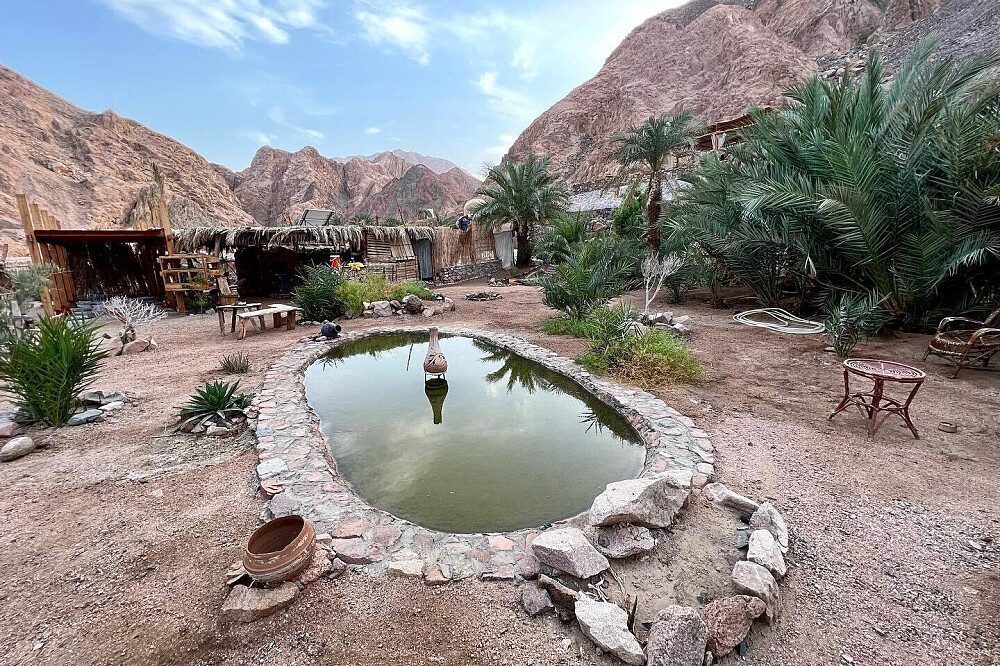 Malakot Mountain Oasis in Wadi Gnai, South Sinai Governorate, Egypt ...