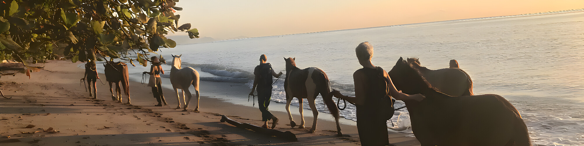 THE 10 BEST Horse Riding Retreats in Quintana Roo for June 2026 ...