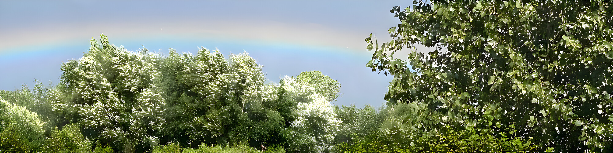 THE 10 BEST Zen Meditation Retreats in Netherlands July 2026 ...