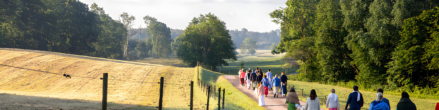 THE 10 BEST Hot Spring Retreats in Sweden for 2025/2026 • BookRetreats.com