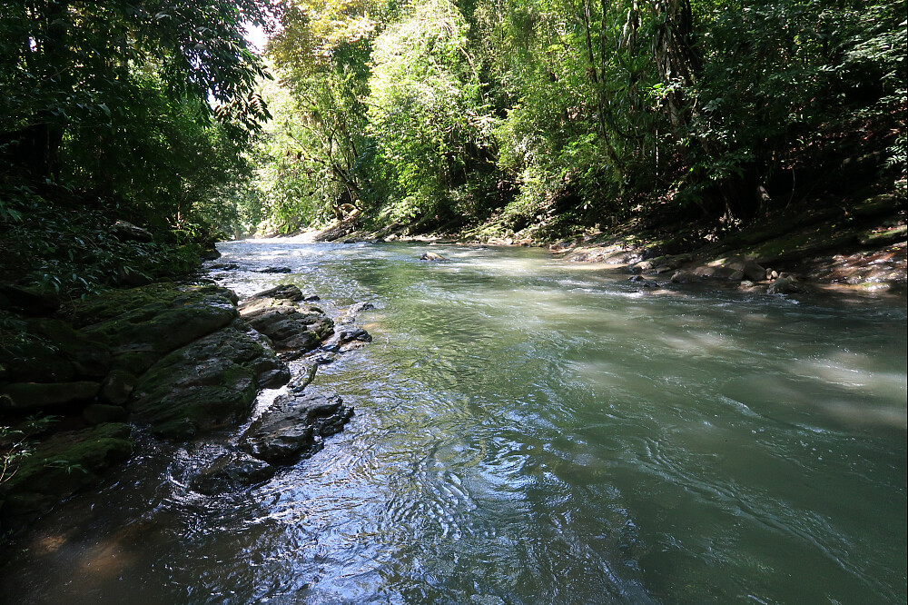5 Day Yoga Retreat: River, Waterfalls and Massage in Costa Rica ...