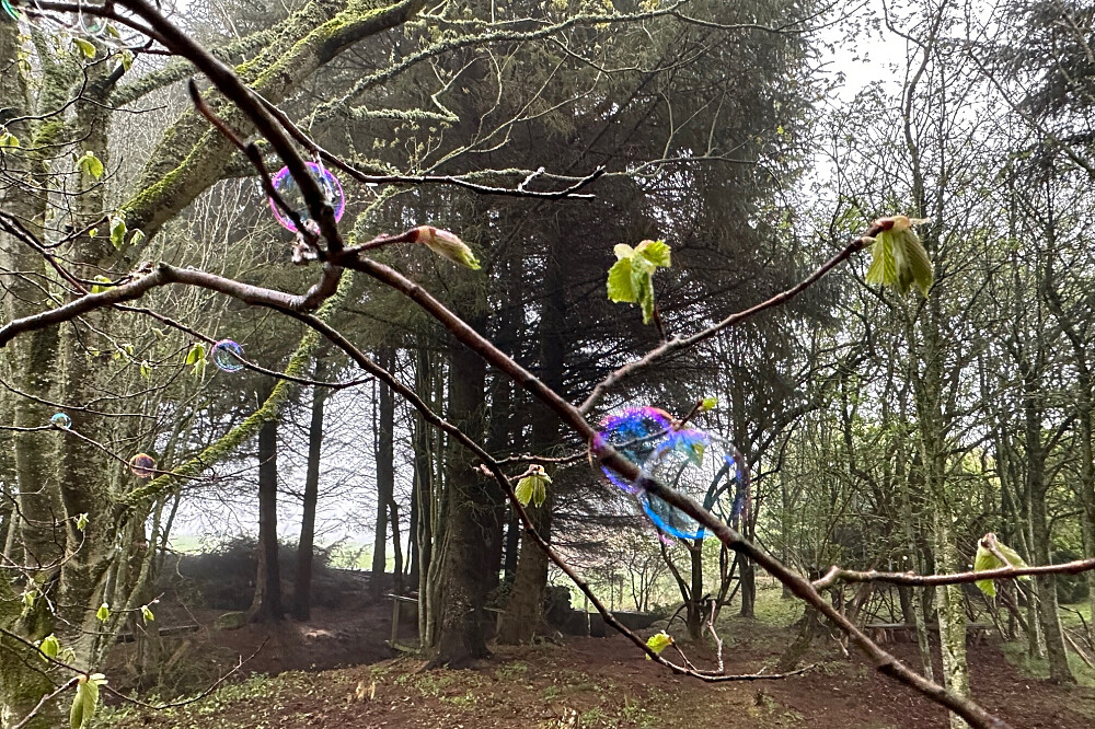 5 Day Private Anxiety & Depression Healing Retreat in Scotland ...