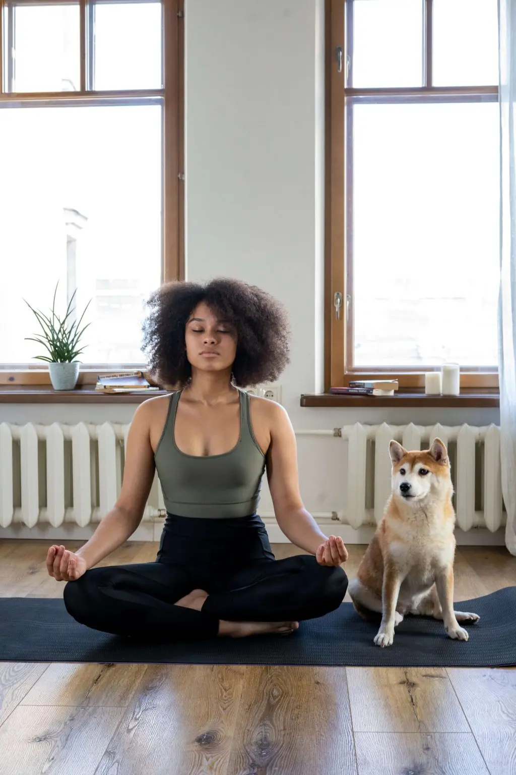 7 Feel-Good Dog Yoga Poses That You Can Do With Your Pup